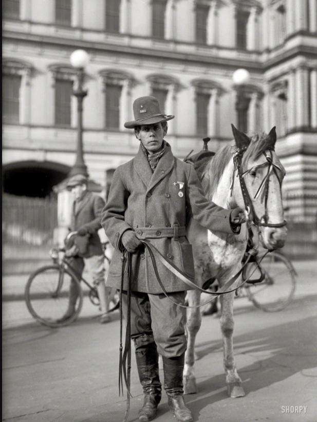 Red Fox James - goodpasturefarm
