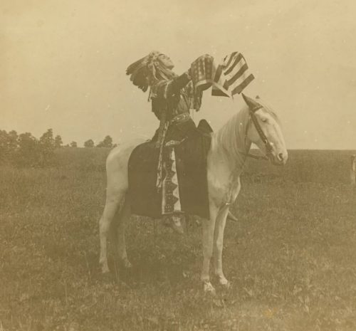 Red Fox James - goodpasturefarm